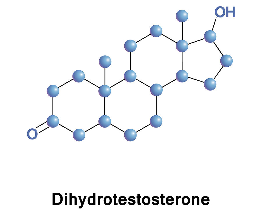 Dihydrotestosteron: Fakten zum Hormon • Haarausfall Hilfe